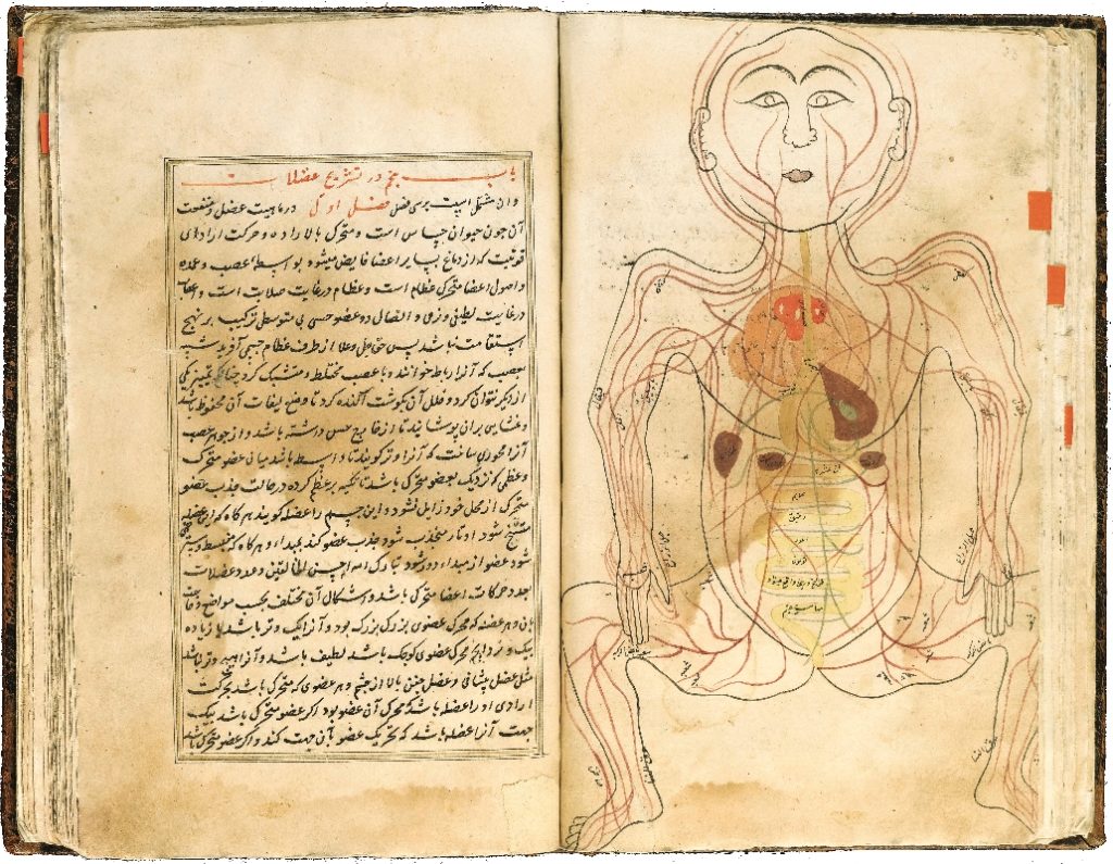 The Contributions of Muslims to Medicine - Aquila Style